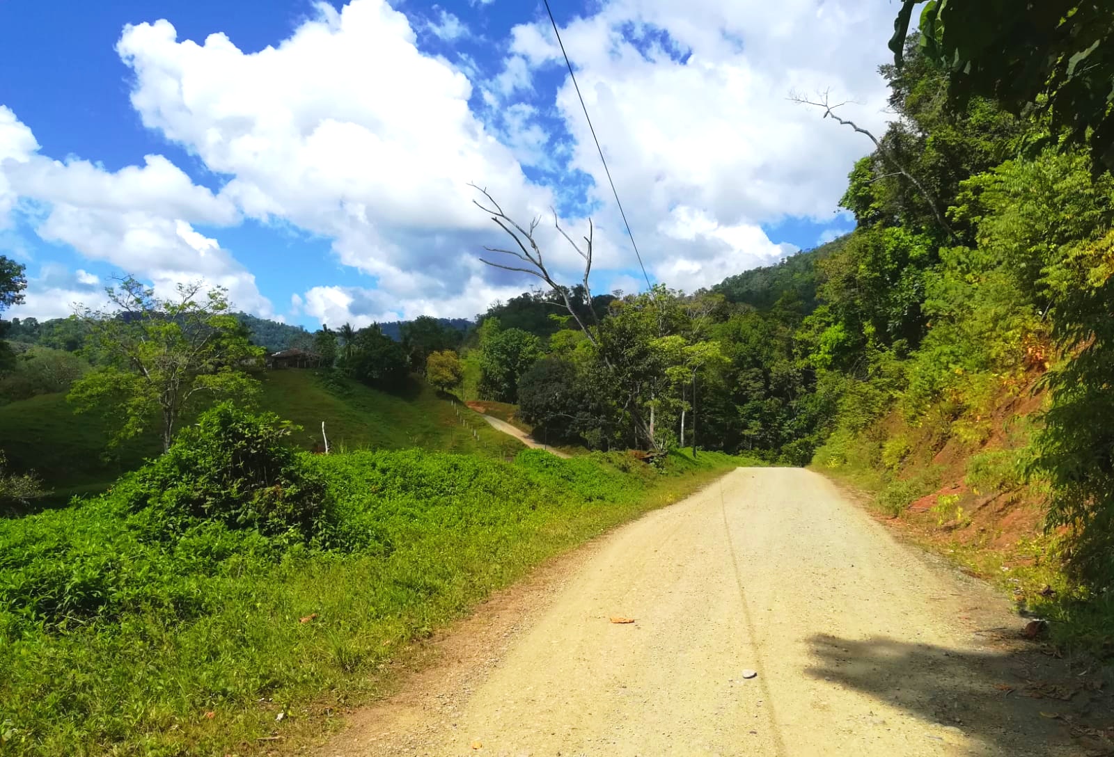 Magical roads on Costa Rica - Pura Vida Motorbike